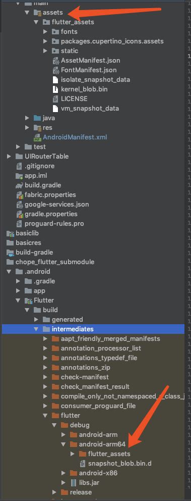 Unable To Load Asset Assetmanifestjson · Issue 38510 · Flutter