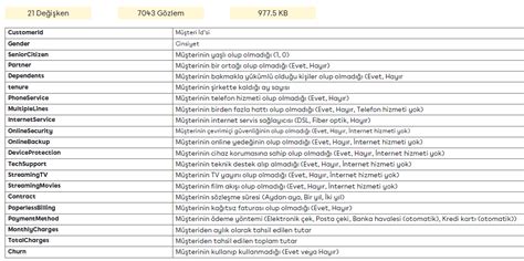 Github Gizemozdemir Exploratory Data Analysis Telco