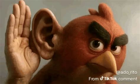Angry Bird Hear Me Out Meme Angry Bird Hear Me Out Discover And Share