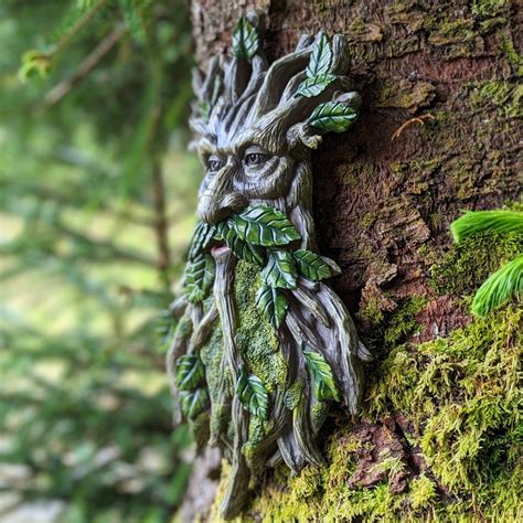 Large Treebeard Tree Spirit Away With The Fairies