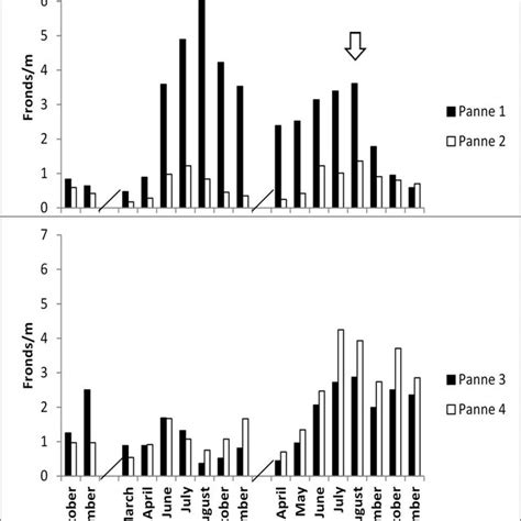 Morphological Variability Of Attached Codium Fragile In The Pannes
