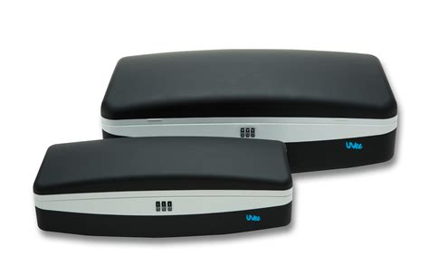 This Lockbox Will Clean And Charge Your Sex Toys For You Paper Magazine