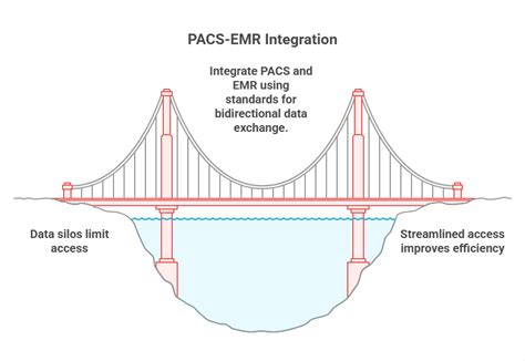 Pacs Emr Integration In Radiology Everything You Need To Know