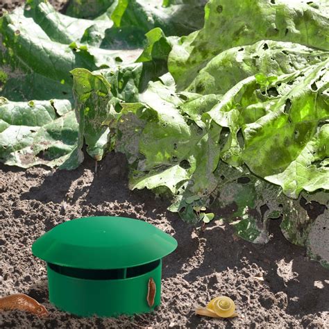 Set De 2 Capcane Anti Melci De Gradina Buha Melci Fara Cochilie Limax 100 X 115 Mm Verde