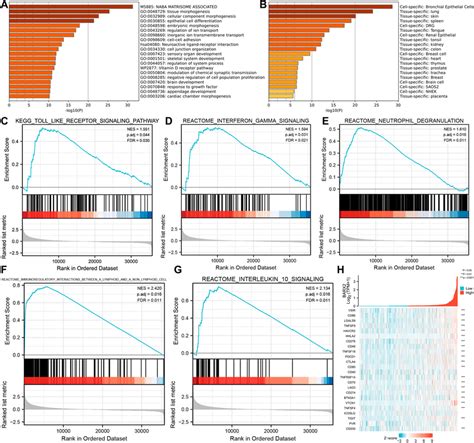 Functional Enrichment Analysis Of Overlapping Genes In Lihc A Download Scientific Diagram
