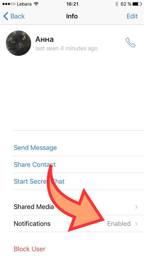 Как отключить уведомления в Телеграмм