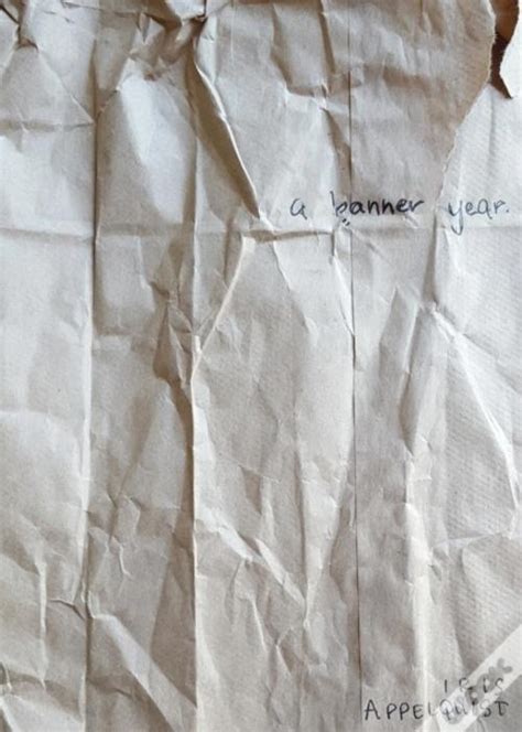 A Banner Year De Iris Appelquist Livro Wook