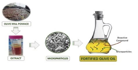 Resources Free Full Text Olive Mill Pomace Extract Loaded