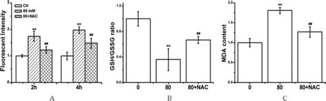 Effects Of La On Ros Level Gsh Gssg Ratio And Mda Production In Bgc Download Scientific