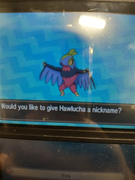 Shiny Treecko Rpokemonoras