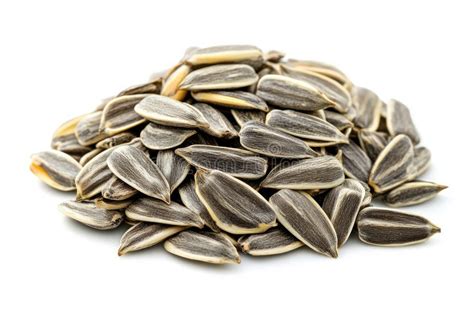 Sunflower Seeds Isolated On White Background Neural Network Ai Generated Stock Illustration