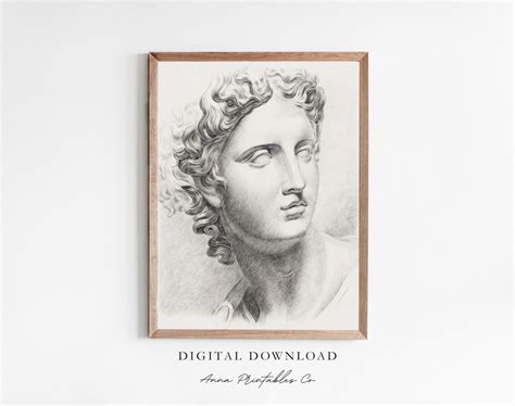 Classical Sketch Antique Greek Bust Drawing For Digital Download Light Academia Printable
