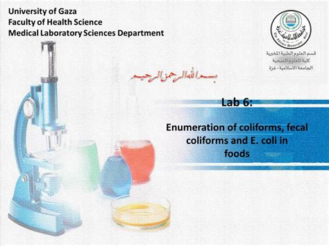 Ppt Lab 6 Enumeration Of Coliforms Fecal Coliforms And E Coli In Foods Powerpoint