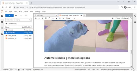 Vision Transformers Computer Vision NVIDIA Jetson AI Lab