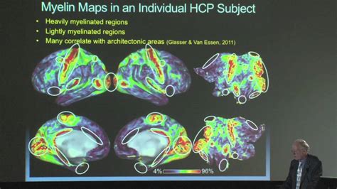 The Human Connectome Project Progress And Prospects October 2014 The Mind Voyager