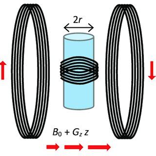 Scheme Of The Diffusion Probe Used In The Study The Probe Used The Download Scientific Diagram