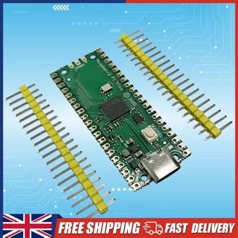Scheda Di Sviluppo Raspberry Pi Pico Processore Cortex M0 Ad Alte