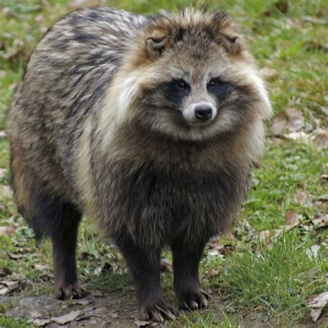 Sophia Cramer Drury High School North Adams Massachusetts United States Linkedin