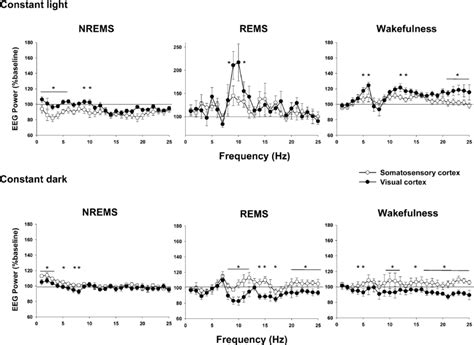 Effects Of Constant Light And Constant Dark On The Eeg Power Spectrum Download Scientific