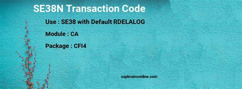 SE N SAP Tcode For SE With Default RDELALOG