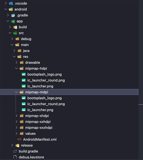 How To Create A React Native Animated Splash Screen With Rnbootsplash Kawlo Dev