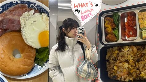 Vlog 직장인의 외식 없는 일주일 도시락 브이로그 도시락추천 점심메뉴 Youtube