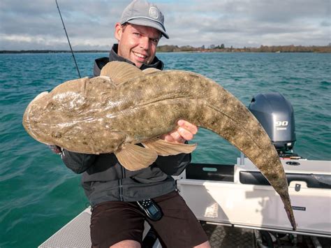 Castaway Articles How To Catch Flathead On Lures