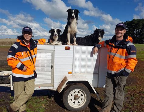 Learning To Be A Detection Dog Handler The Teachings Of Rubble Wildlabs