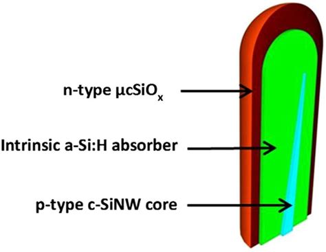Schematic Showing The Plasma Assisted Vls Grown P Type Sinw Coated