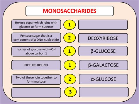Topic 1 Biological Molecules Aqa A Level Biology Teaching Resources