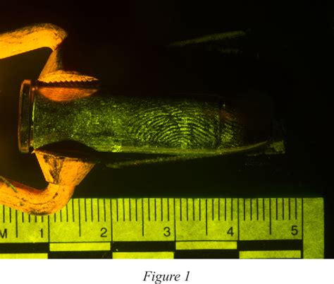 Figure 1 From Detection And Identification Of A Latent Palmprint On A Cartridge Semantic Scholar