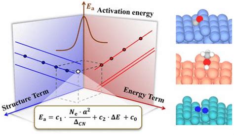 Structure Sensitivity Of Metal Catalysts Revealed By Interpretable Machine Learning And First