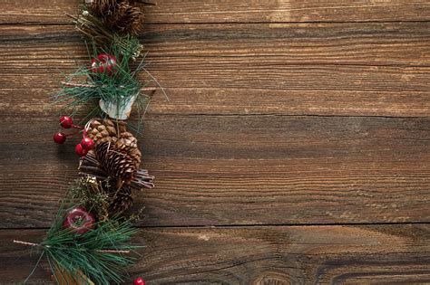 무료 이미지 나무 분기 목재 꽃 녹색 갈색 닫기 크리스마스 트리 작은 가지 데코 출현 크리스마스 장식