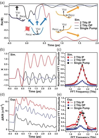 Microscopic Model And Dynamical Simulation Microscopic Modelmicroscopic
