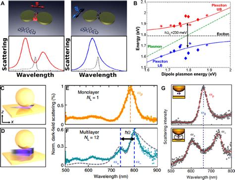 Strong Coupling And Rabi Splitting In Nanogaps A And B Strong Download Scientific Diagram
