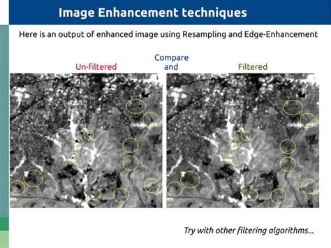 How To Calculate NDVI Using QGIS PDF