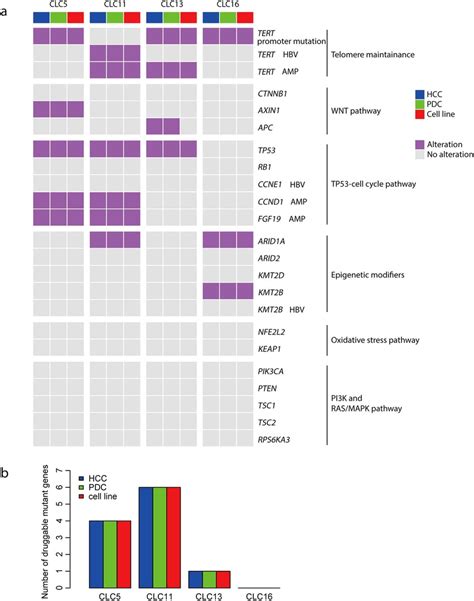 Comparison Of Driver Gene Alterations A Heatmap Shows Landscapes Of