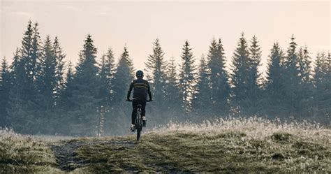 What Type Are You Twink Jock Wolf Or Something Else Quiztest Me All Quizzes Trivia