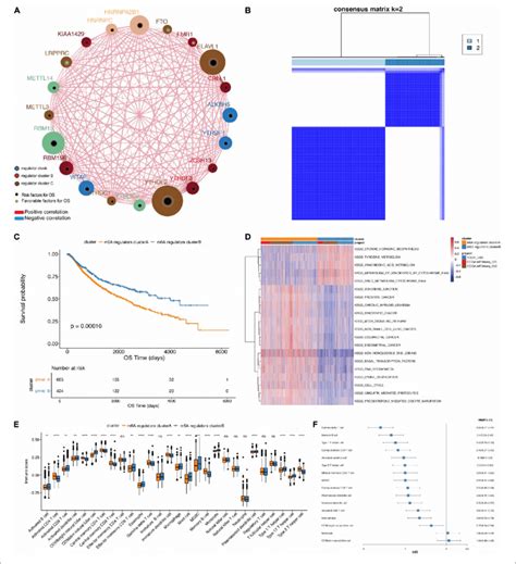 unsupervised clustering of m6a genes in low grade glioma samples a