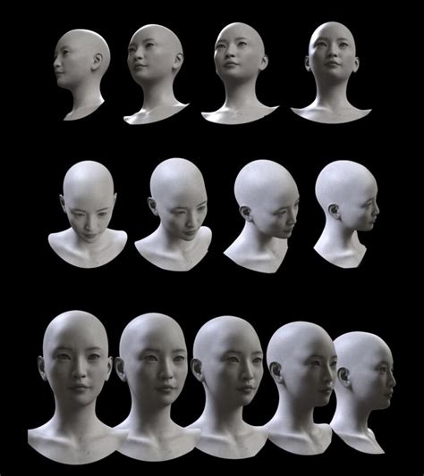 faces of asia render state