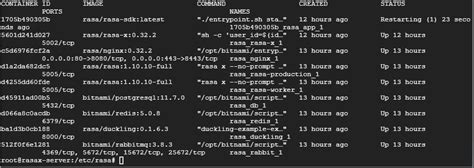 rasa rasa sdk latest restarting 1 rasa open source 2024 12 09