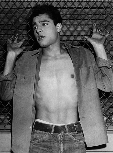 Sal Mineo Photo Gallery Artofit