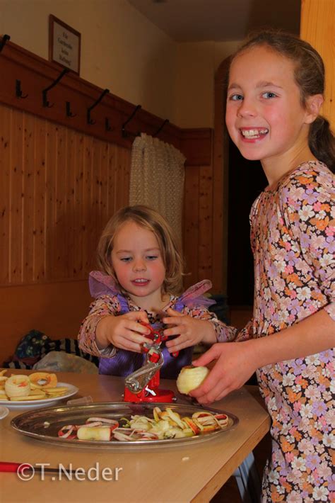 Apfel Sherlock Holmes In Elsa Kreisverband Coburg Für Gartenbau Und Landespflege