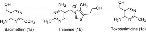 Examples Of Some Natural Bioactive Pyrimidines Download Scientific Examples Of Some Natural Bioactive Pyrimidines Download Scientific