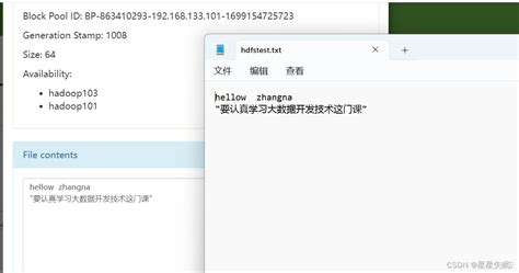 Hdfs Java Api的应用java Hdfs获取当前目录下的所有文件 Csdn博客