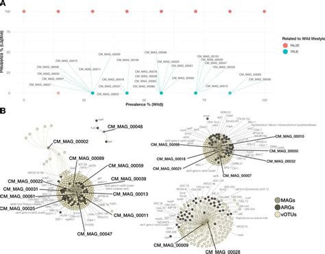 Association Between Wild Mags Votus And Args A Prevalence Plots