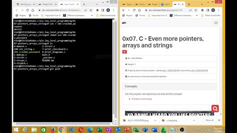 Task 9 101 Crackme Password Alx Youtube
