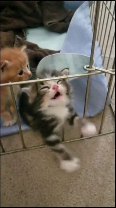 Release Me At Once ” Tumbex