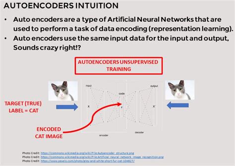 Autoencoders Are A Type Of Neural Network Used For Unsupervised Learning Ruwan Fernando