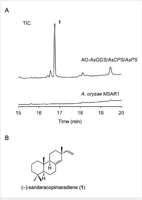 Figure 3 From Genome Mining Of Labdane Related Diterpenoids Discovery Of The Two Enzyme Pathway